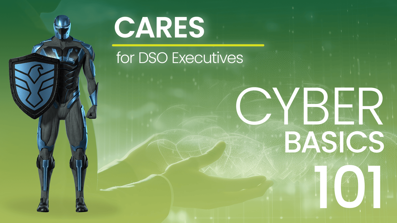 CARES for DSO Executives | Virtual Course by Black Talon Security